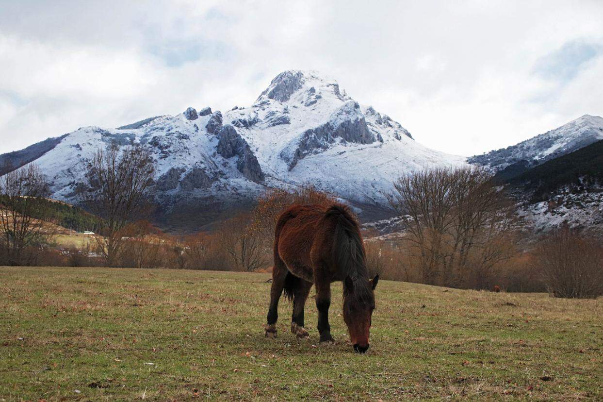 Máxima precaución por la presencia de nieve en cotas bajas y mucho frío ...